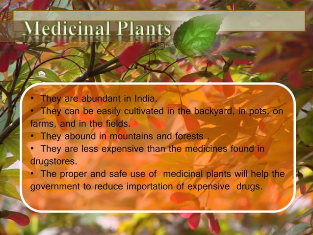 Medicinal plants & their uses | PPTX | Gardening | Home & Garden