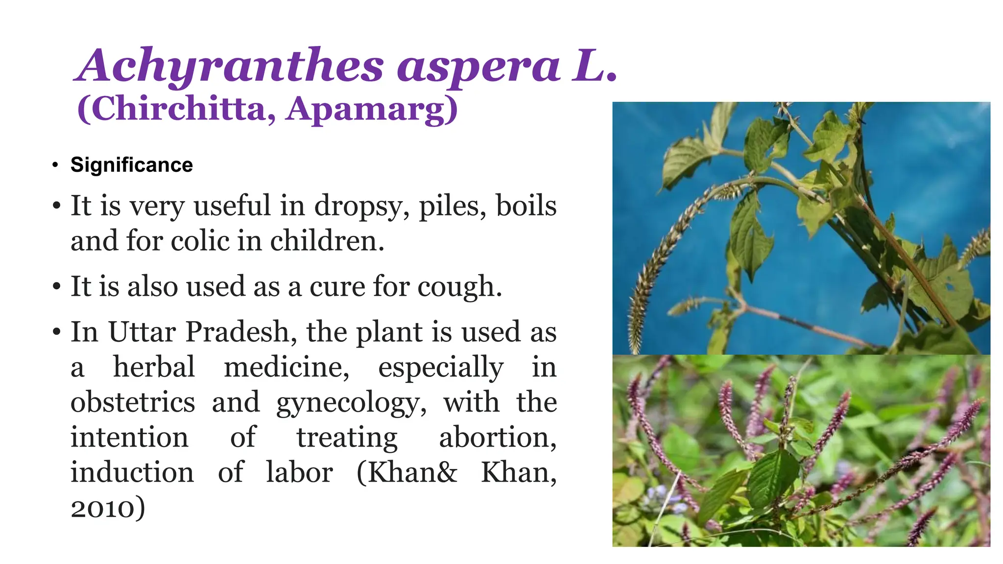 Medicinal Plants with special reference to Chhattisgarh (1).pptx