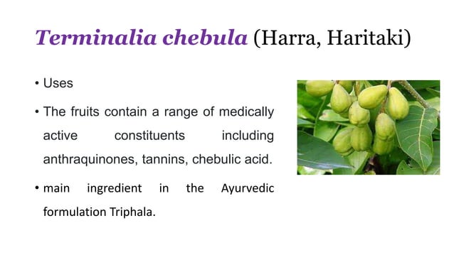 Medicinal Plants with special reference to Chhattisgarh (1).pptx ...