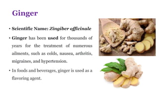 Medicinal Plants with special reference to Chhattisgarh (1).pptx