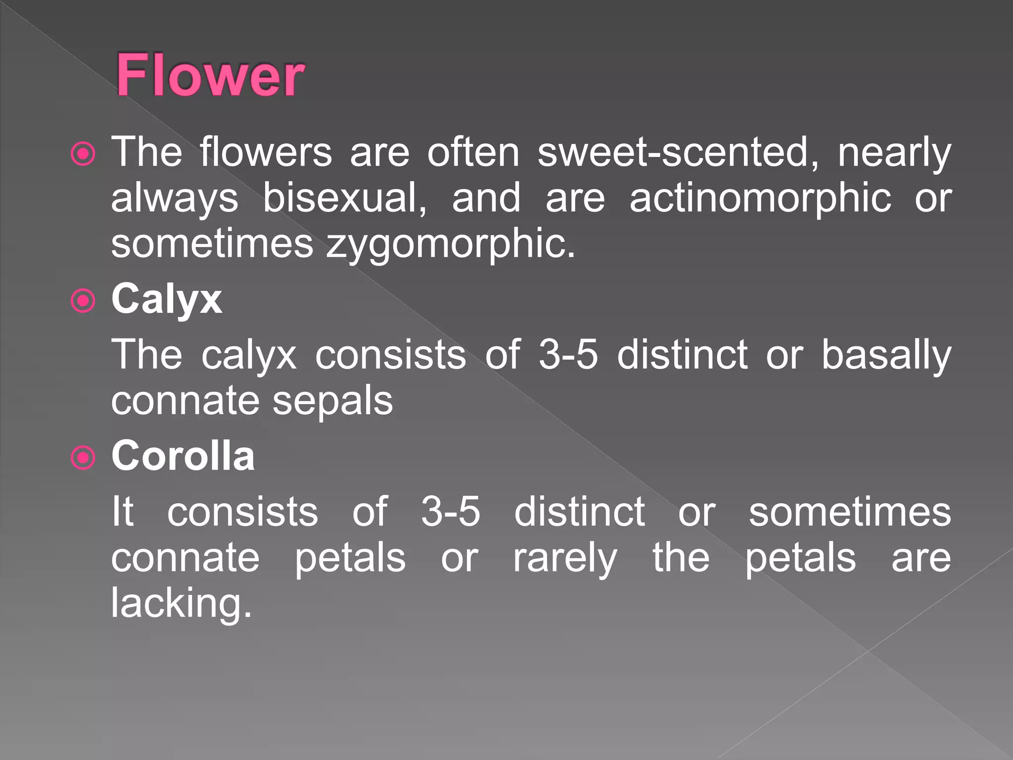 Medicinal plant systematics i | PPTX