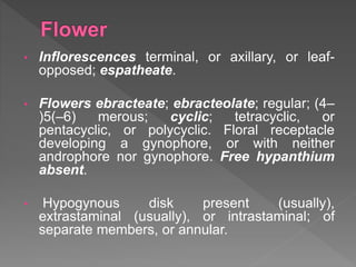 Medicinal plant systematics i | PPTX