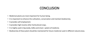 Medicinal ppt | PPTX