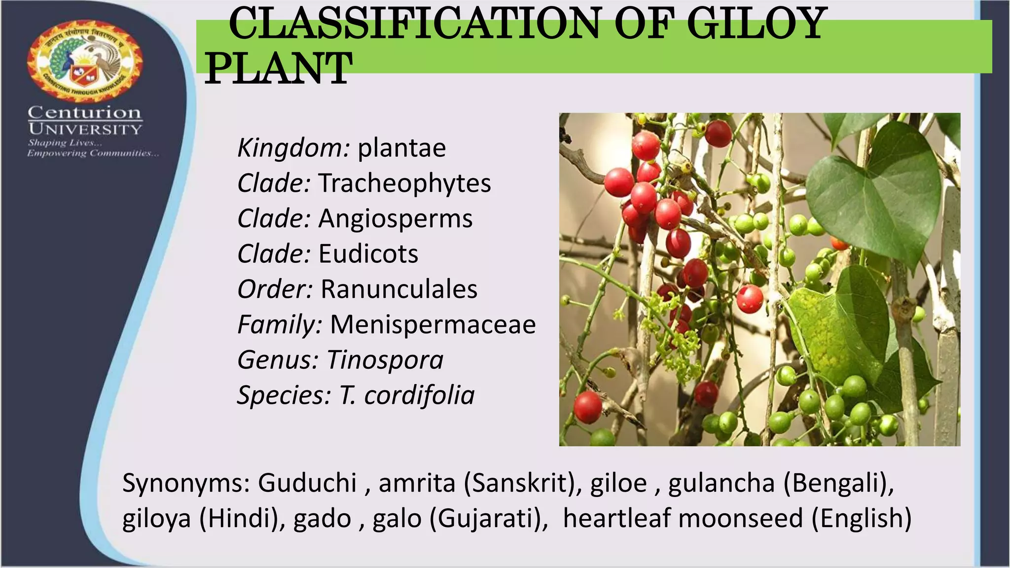 Medicinal properties of Giloy , Bay leaf and Heena plant.pptx