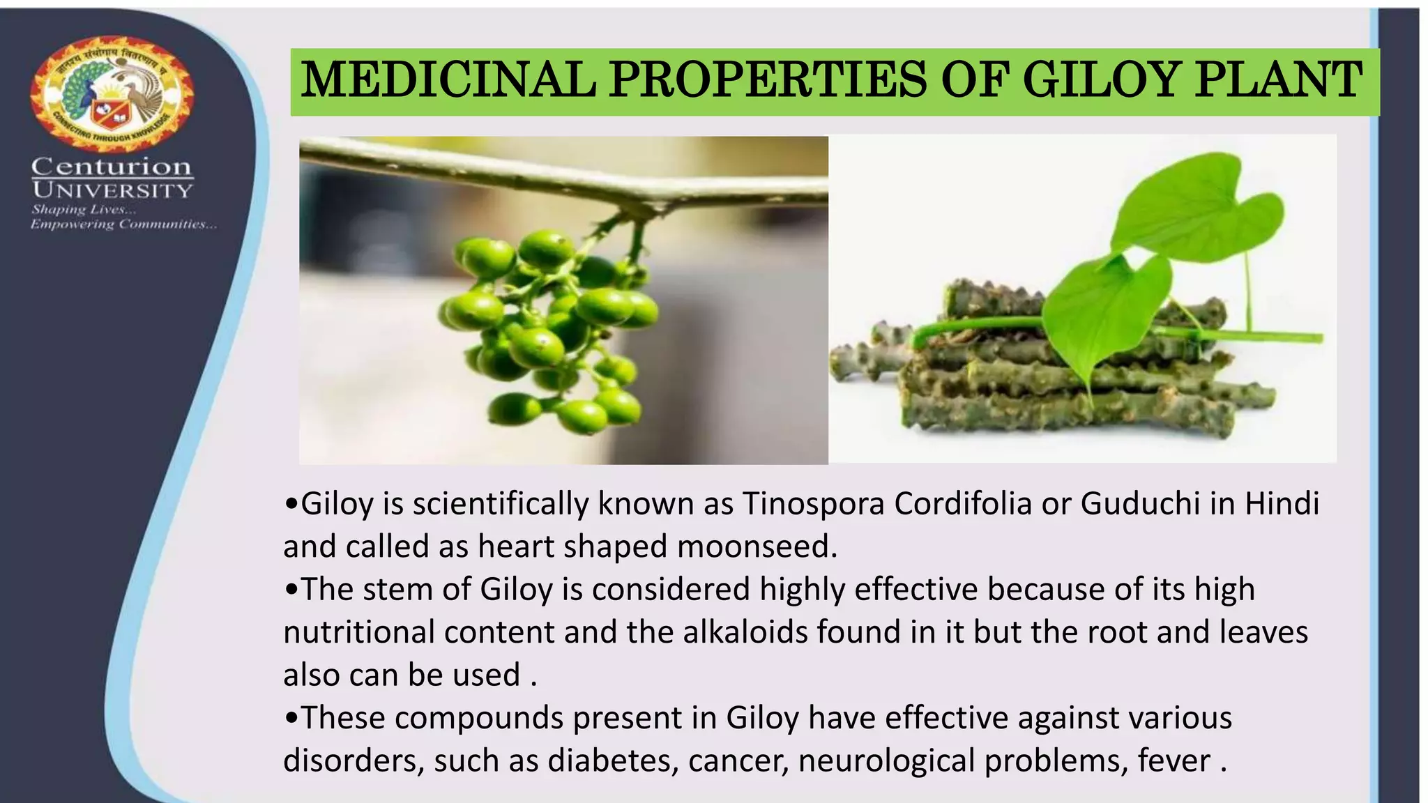 Medicinal properties of Giloy , Bay leaf and Heena plant.pptx