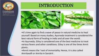 Medicinal properties of Giloy , Bay leaf and Heena plant.pptx