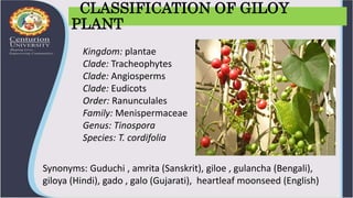 Medicinal properties of Giloy , Bay leaf and Heena plant.pptx