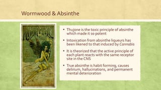 Medicinal Species of the Genus Artemisia | PPTX