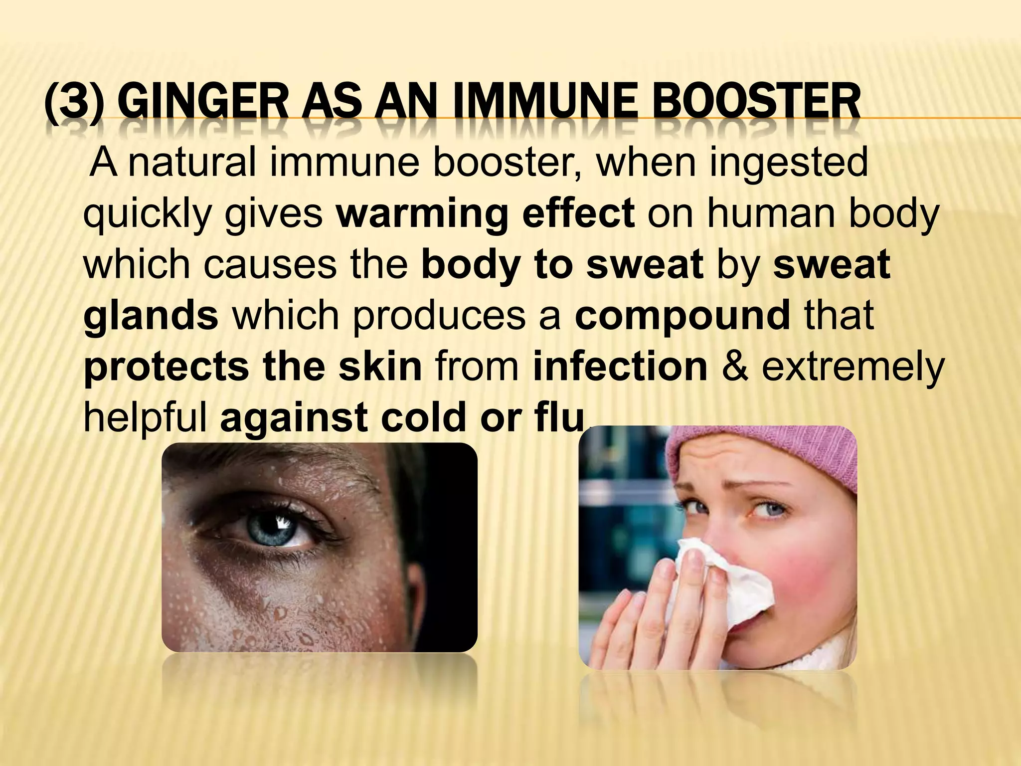 Medicinal uses of ginger | PPTX