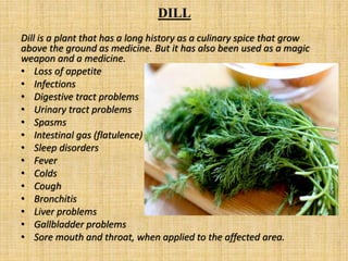 Medicinal uses of spices | PPTX