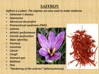 Medicinal uses of spices | PPTX