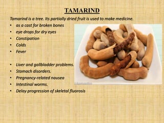 Medicinal uses of spices | PPTX