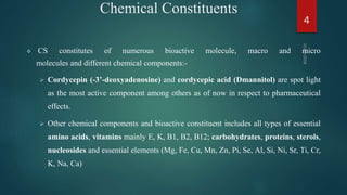 Medicinal value of cordyceps sinensis | PPTX