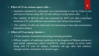 Medicinal value of cordyceps sinensis | PPTX
