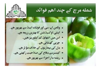 Medicinal value of vegetables in urdu A Lecture By Allah Dad Khan | PPTX