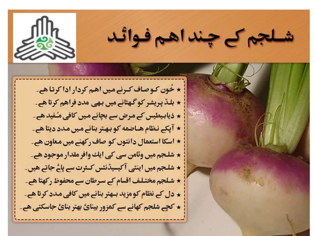 Medicinal value of vegetables in urdu A Lecture By Allah Dad Khan | PPTX