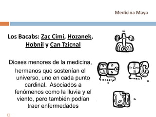 Medicina maya | PPTX