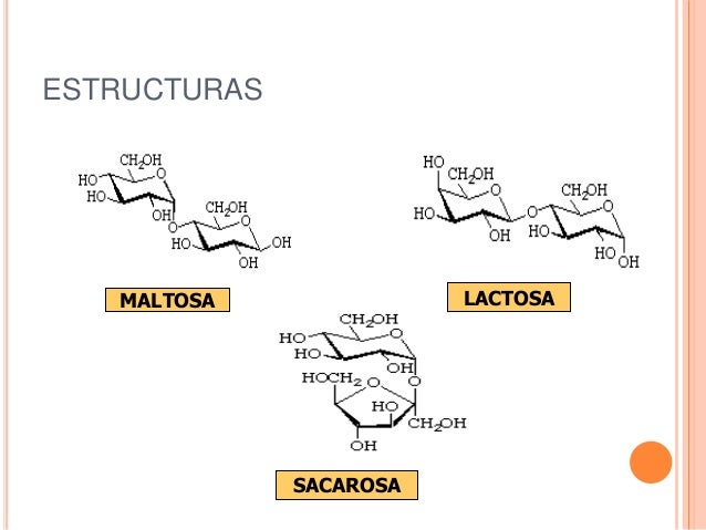 Medicina metabolismo de los carbohidratos