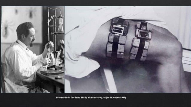 Medicina nazi: experimentación humana, tifus y guetos