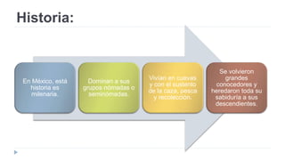 Medicina Tradicional | PPTX