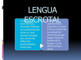 Medicina y patología estomatológica | PPTX