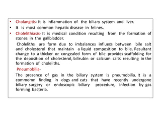 medicine.pptx | Endocrine and Metabolic Diseases | Diseases and Conditions