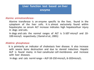 medicine.pptx | Endocrine and Metabolic Diseases | Diseases and Conditions