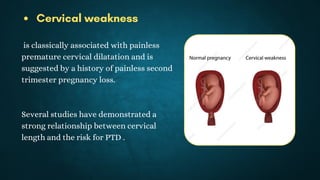 Preterm labour labour for infants before term | PDF