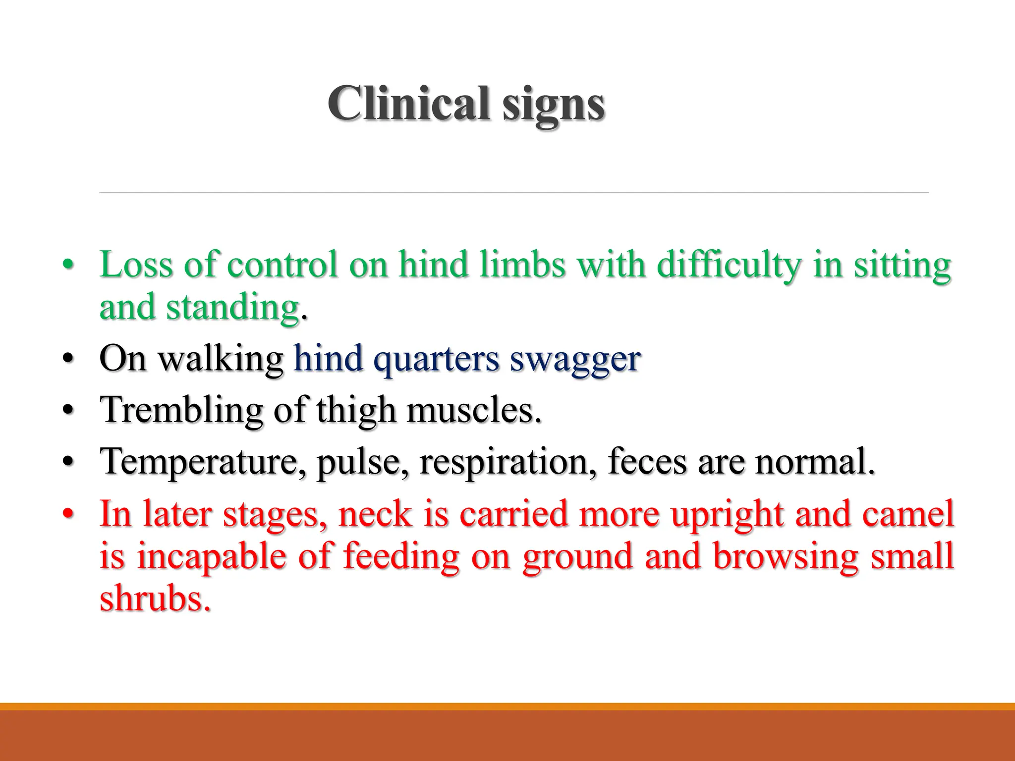 MEDICINE- Camel diseases commonly observed | PDF