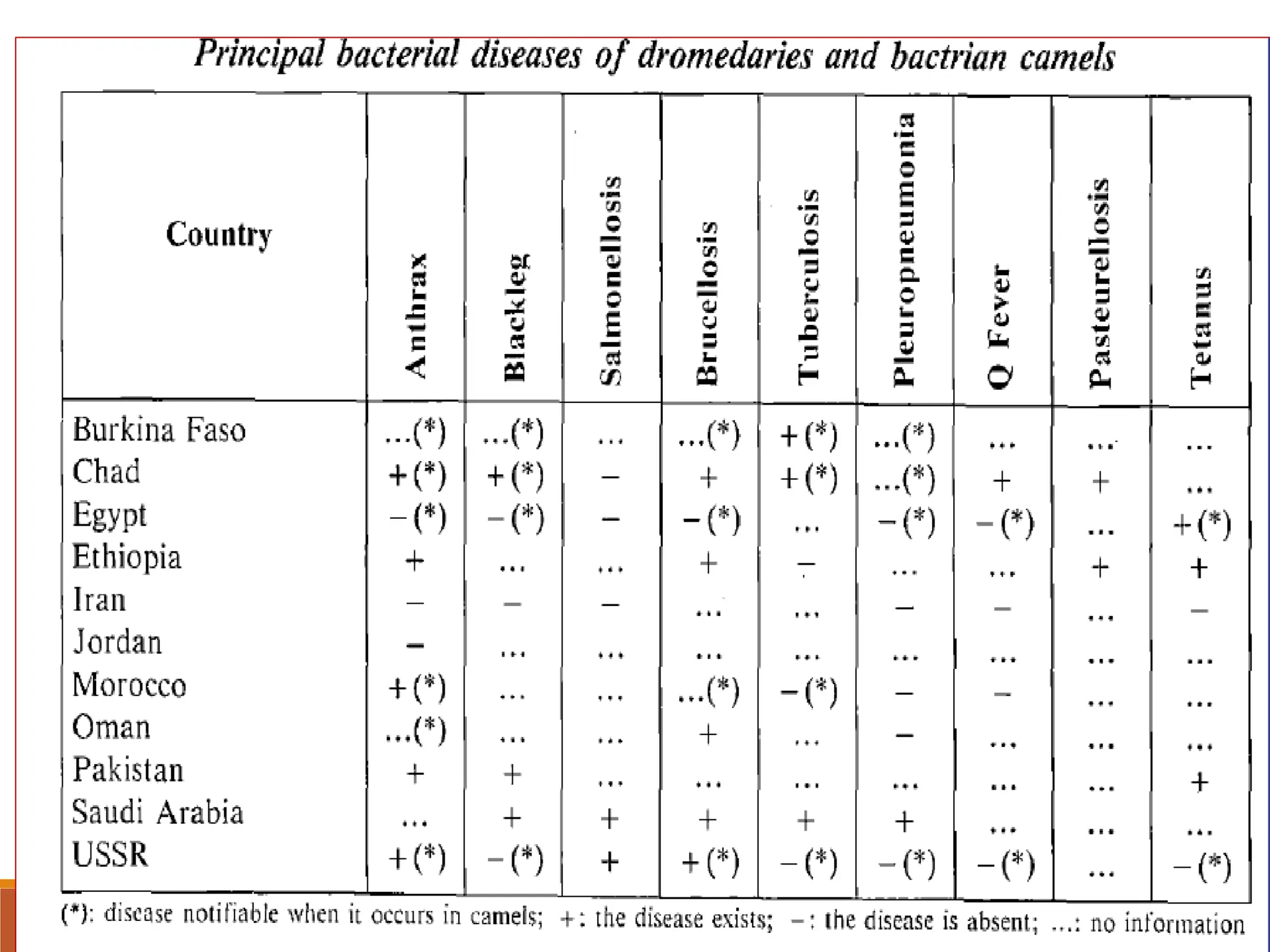 MEDICINE- Camel diseases commonly observed | PDF