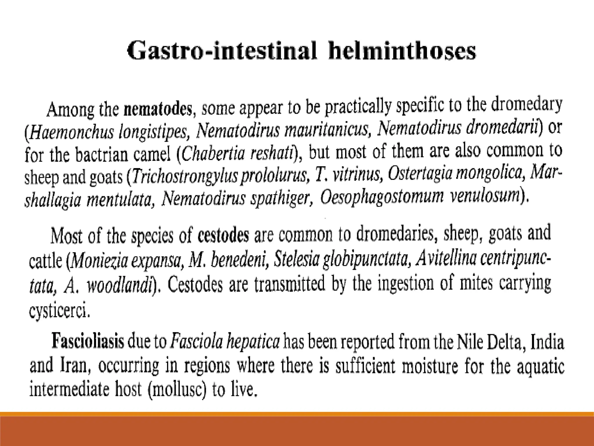 MEDICINE- Camel diseases commonly observed | PDF