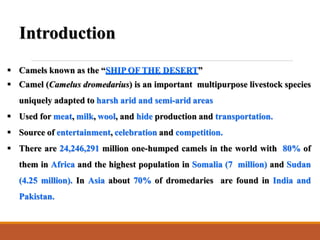MEDICINE- Camel diseases commonly observed | PDF