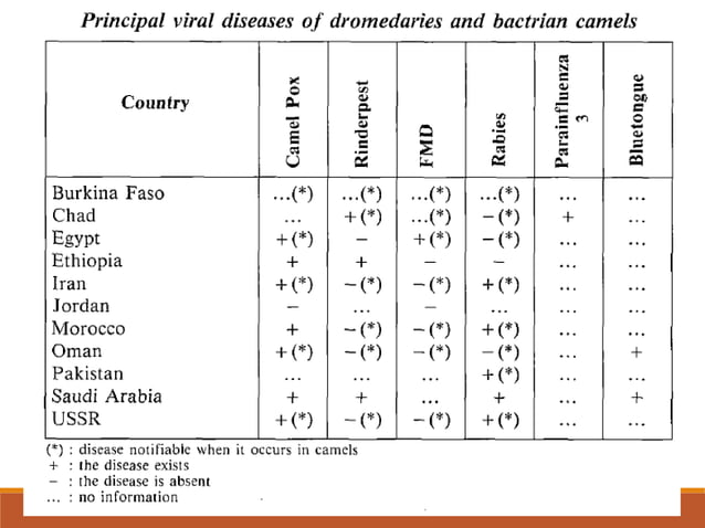 MEDICINE- Camel diseases commonly observed | PPT