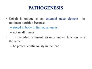 MEDICINE- Cobalt Deficiency and its effects. | PPT