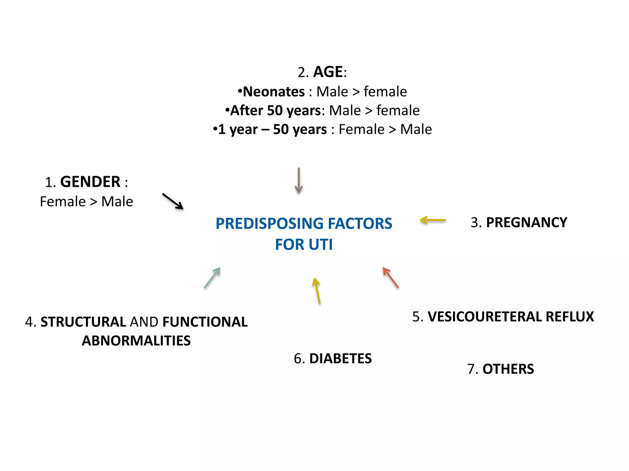 URINARY TRACT INFECTION | PPTX