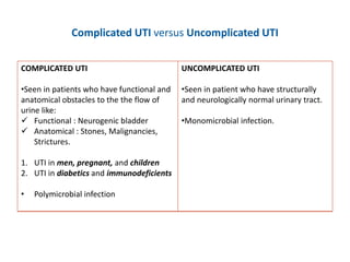 URINARY TRACT INFECTION | PPT