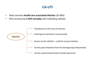 URINARY TRACT INFECTION | PPT