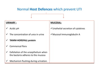 URINARY TRACT INFECTION | PPTX