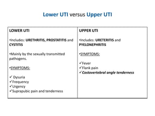 URINARY TRACT INFECTION | PPT