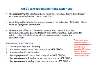 URINARY TRACT INFECTION | PPT