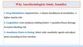 Jaundice Definition, Signs and symptoms. | PPTX
