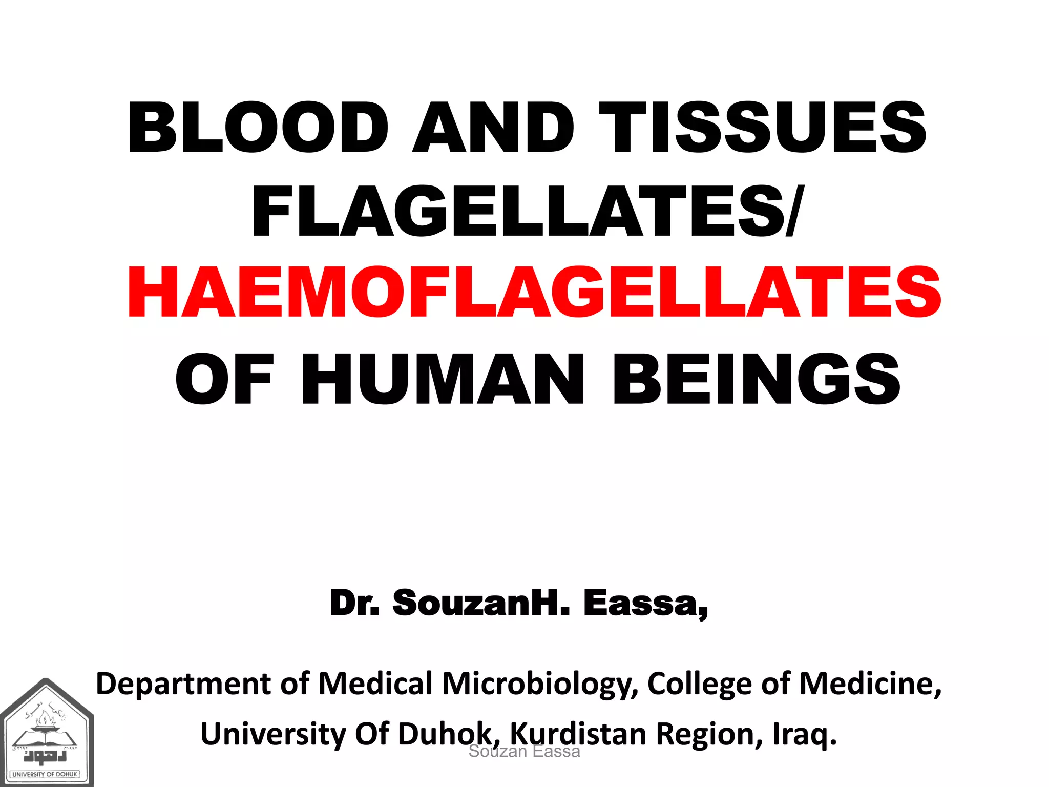 BLOOD AND TISSUES FLAGELLATES/ HAEMOFLAGELLATES OF HUMAN BEINGS | PDF