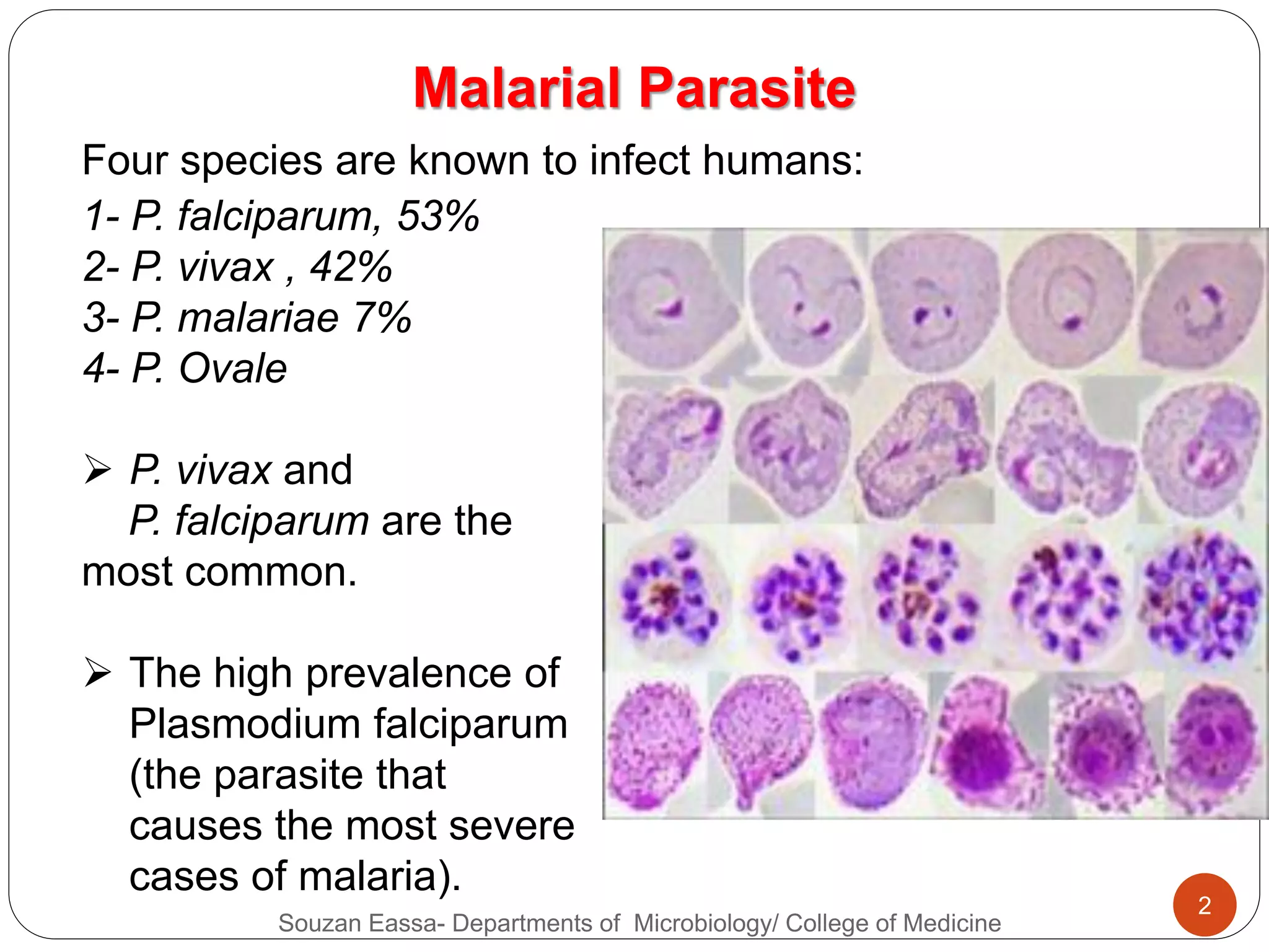 INFECTION WITH MALARIA PARASITES Plasmodium Spp. | PDF