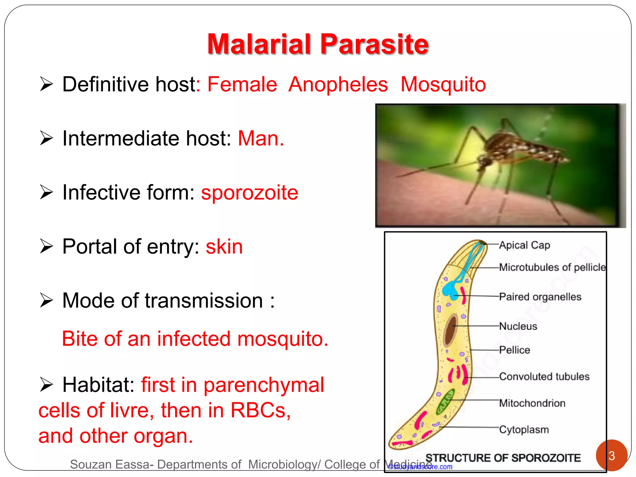 INFECTION WITH MALARIA PARASITES Plasmodium Spp. | PDF