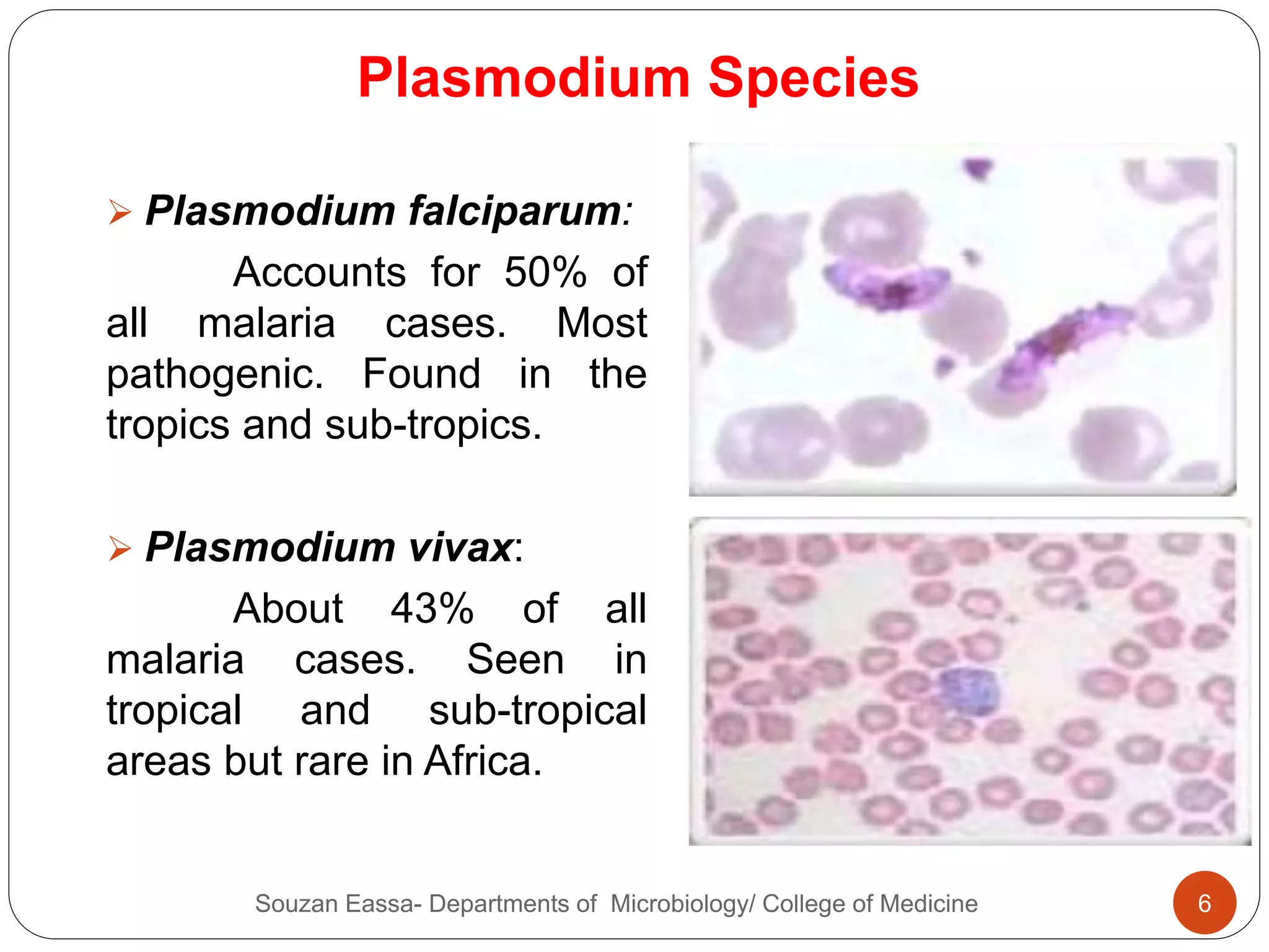 INFECTION WITH MALARIA PARASITES Plasmodium Spp. | PDF
