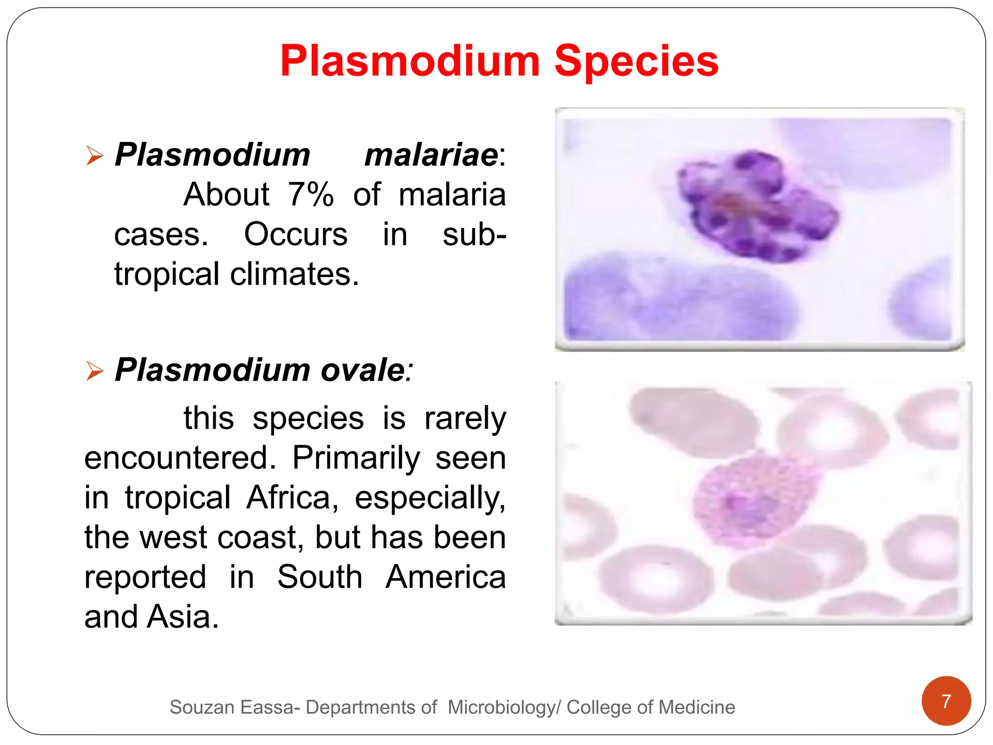 INFECTION WITH MALARIA PARASITES Plasmodium Spp. | PDF