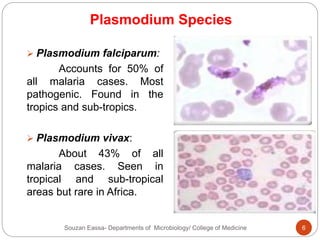 INFECTION WITH MALARIA PARASITES Plasmodium Spp. | PDF