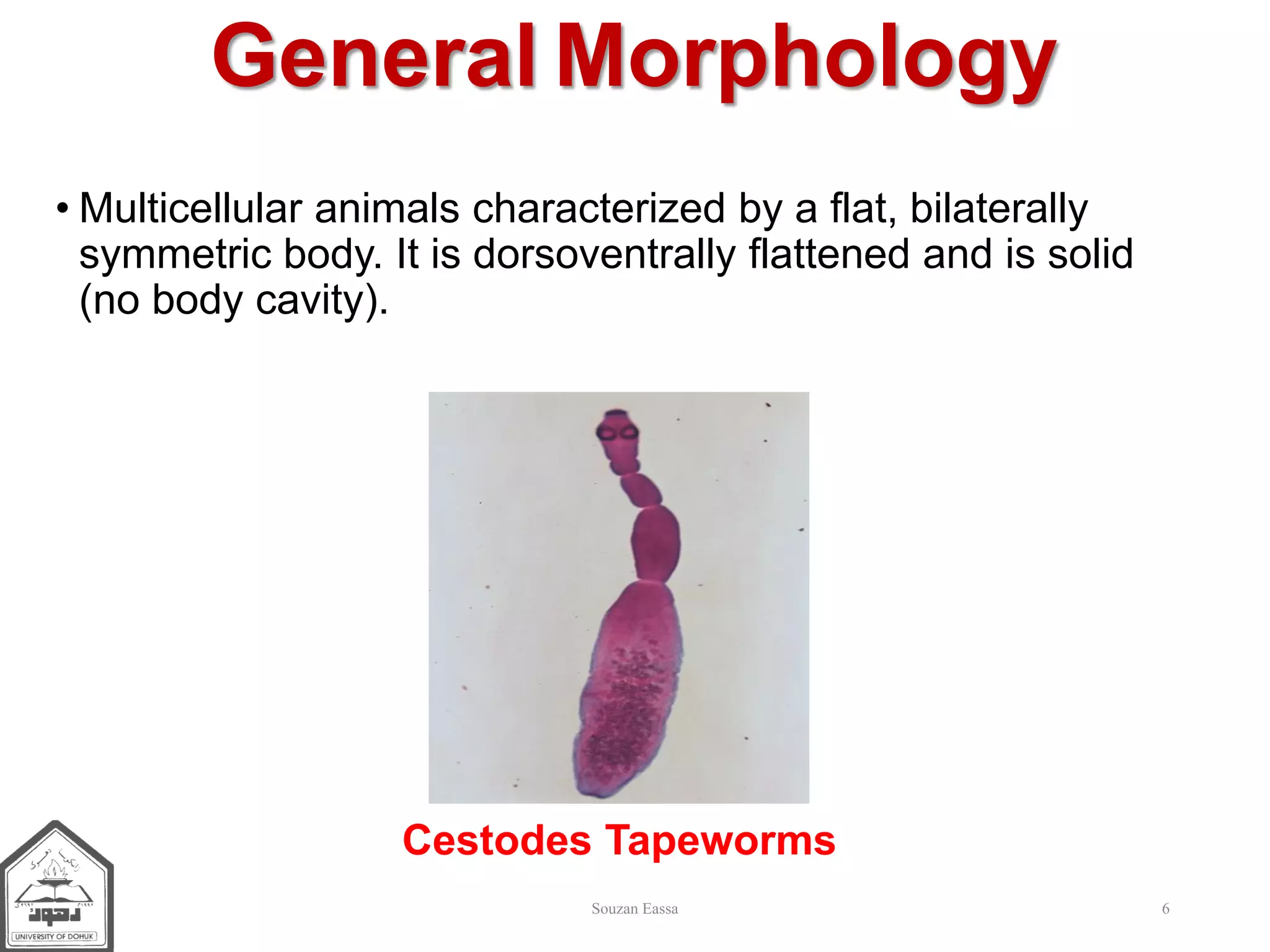 PARASITIC WORMS (HELMINTHS) | PDF