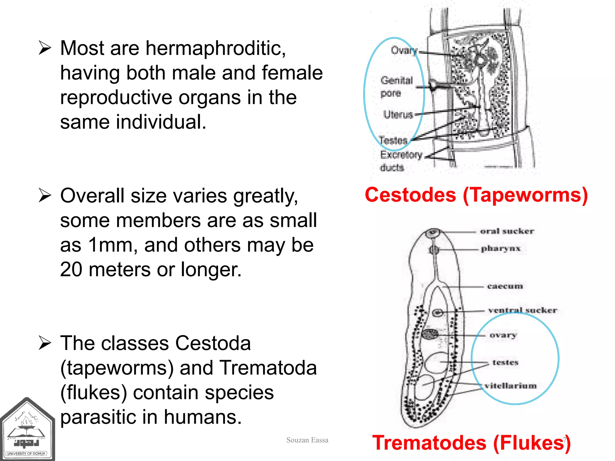 PARASITIC WORMS (HELMINTHS) | PDF