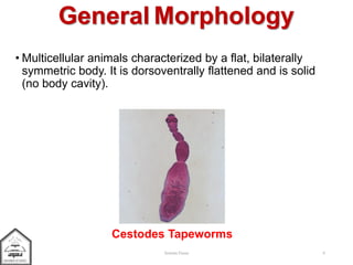 PARASITIC WORMS (HELMINTHS) | PDF